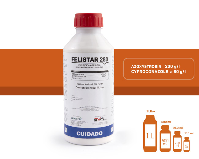 GVM Corp S.A. Generamos progreso agrícola